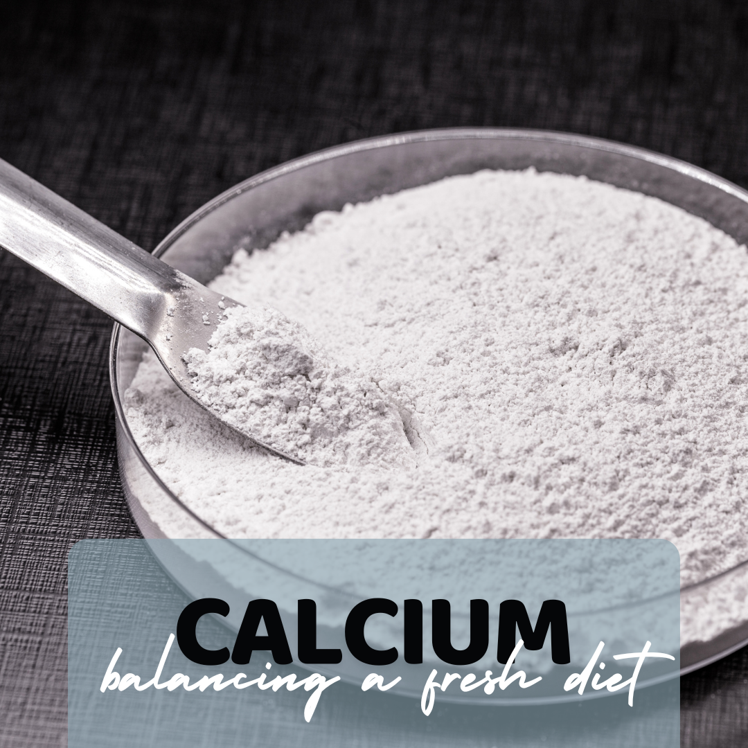 Adding Calcium to Fresh Food Diet – Maggies Pet Co